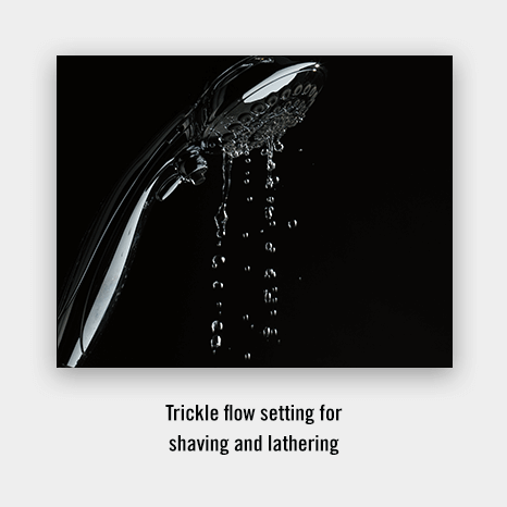 Combination Shower Head and Hand Shower In2ition® Two-in-One Shower ...