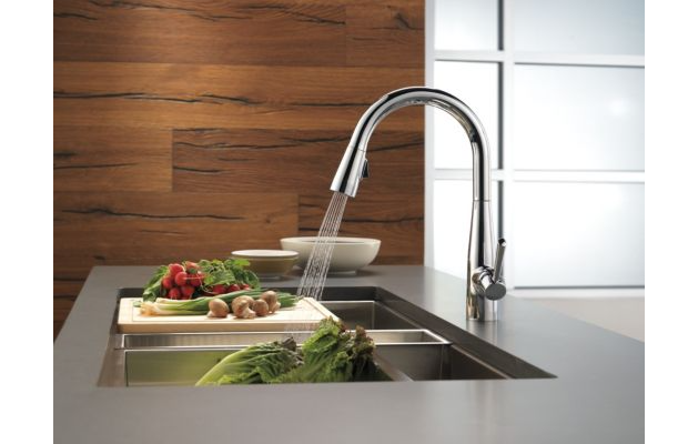 Essa® Kitchen Collection | Delta Faucet