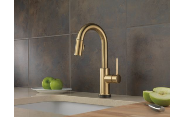 Trinsic® Kitchen Collection | Delta Faucet