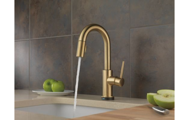 Trinsic® Kitchen Collection | Delta Faucet
