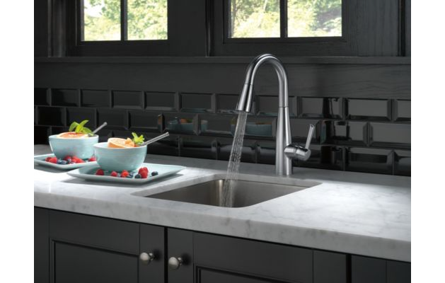 Essa® Kitchen Collection | Delta Faucet