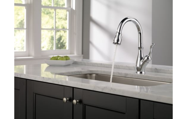 Leland® Kitchen Collection | Delta Faucet