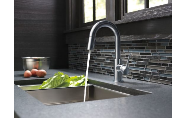 Trinsic® Kitchen Collection | Delta Faucet