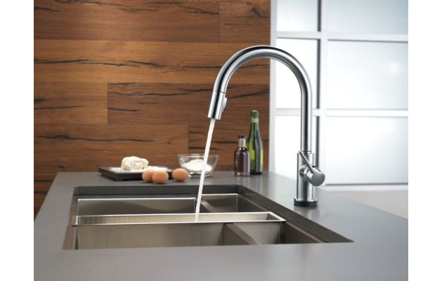 Trinsic® Kitchen Collection | Delta Faucet