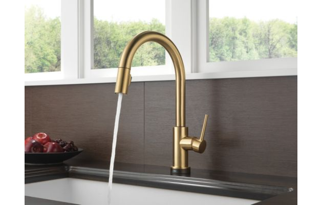 Trinsic® Kitchen Collection | Delta Faucet