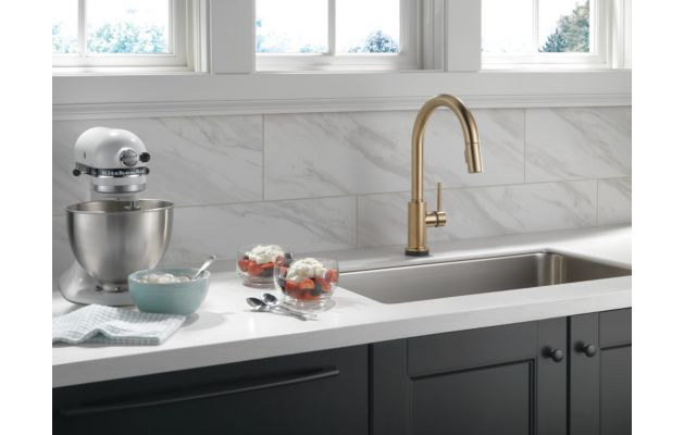 Trinsic® Kitchen Collection | Delta Faucet