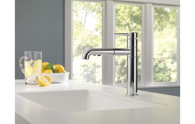Trinsic® Kitchen Collection | Delta Faucet